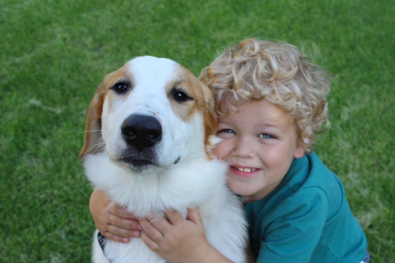 Journey Home Animal Rescue | Grand Forks, North Dakota Animal Rescue