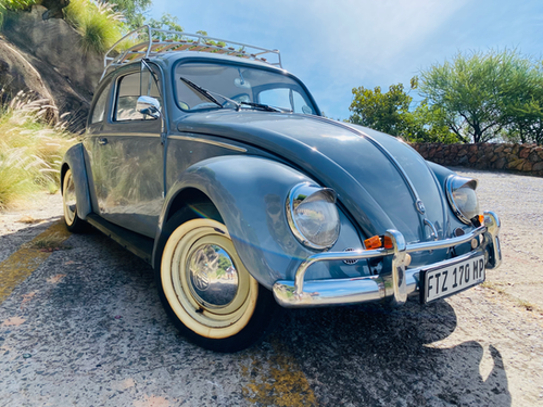 1958 Volkswagen Beetle | Vintage Motors SA