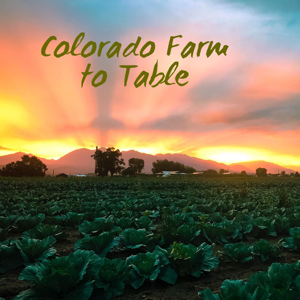 GALLERY | Colorado Farm to Table