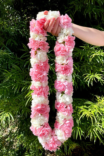 Stripe Carnation | Leinani