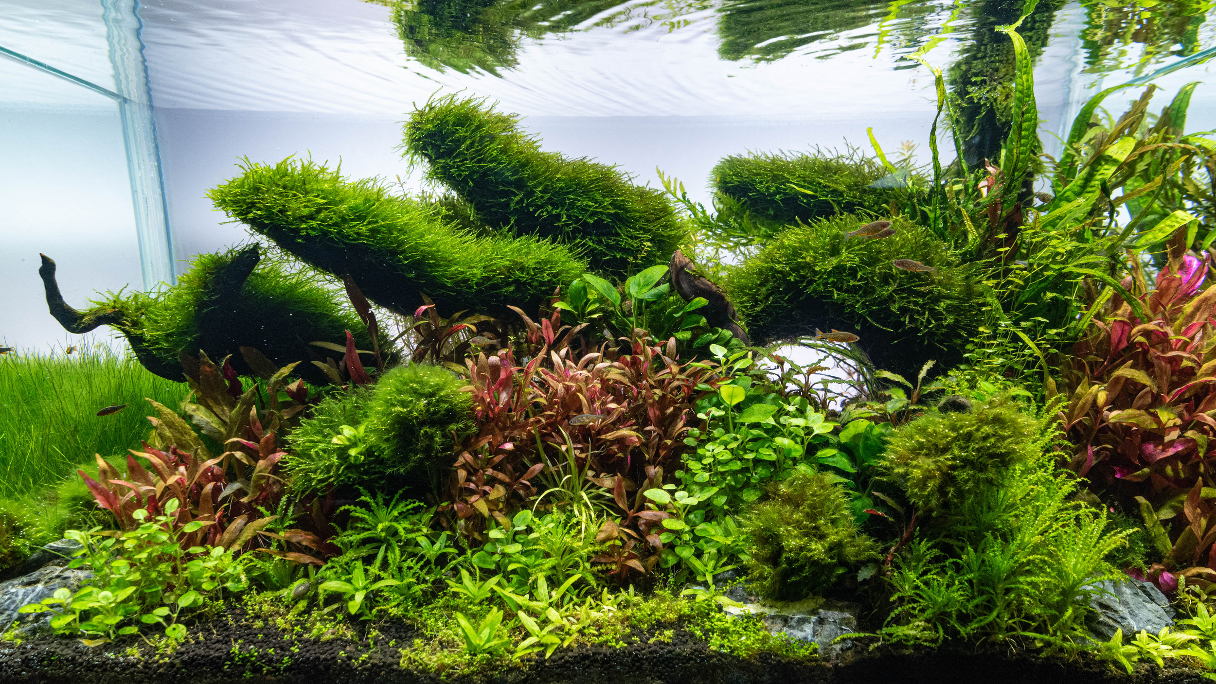 Galaxy Cave - 128L | Apbcontest2021