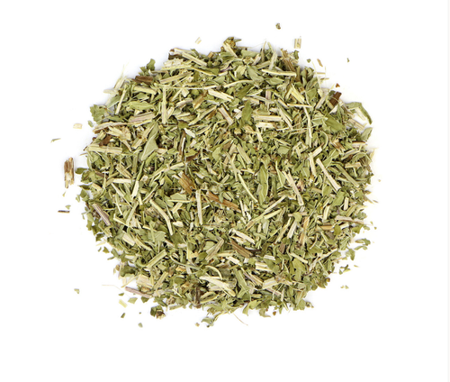 Organic Bugleweed | GlassWing Organics