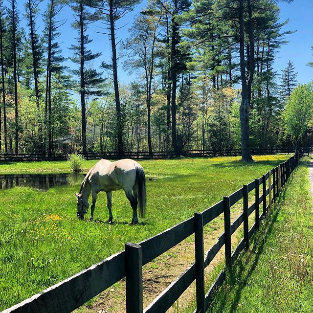 GALLERY | Hudson Derby Stables
