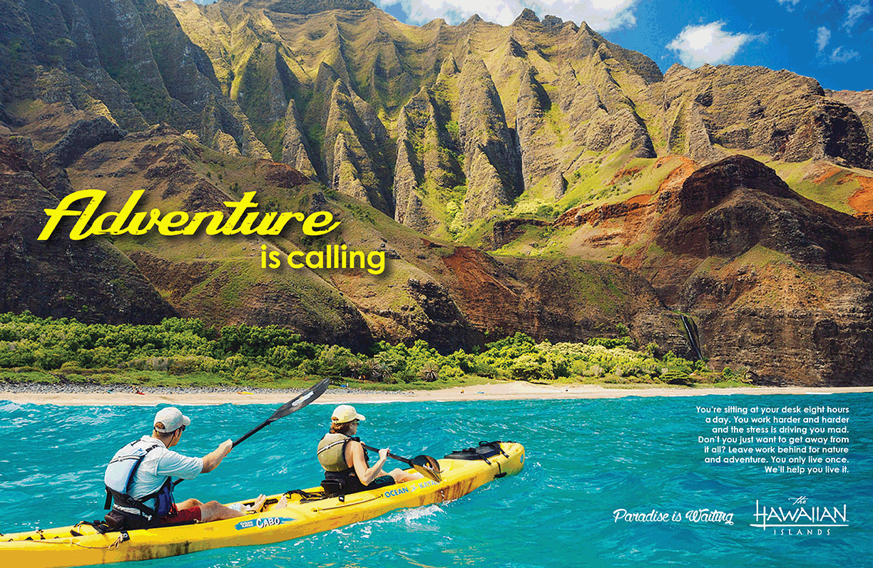 David E. Harvey| Graphic Designer