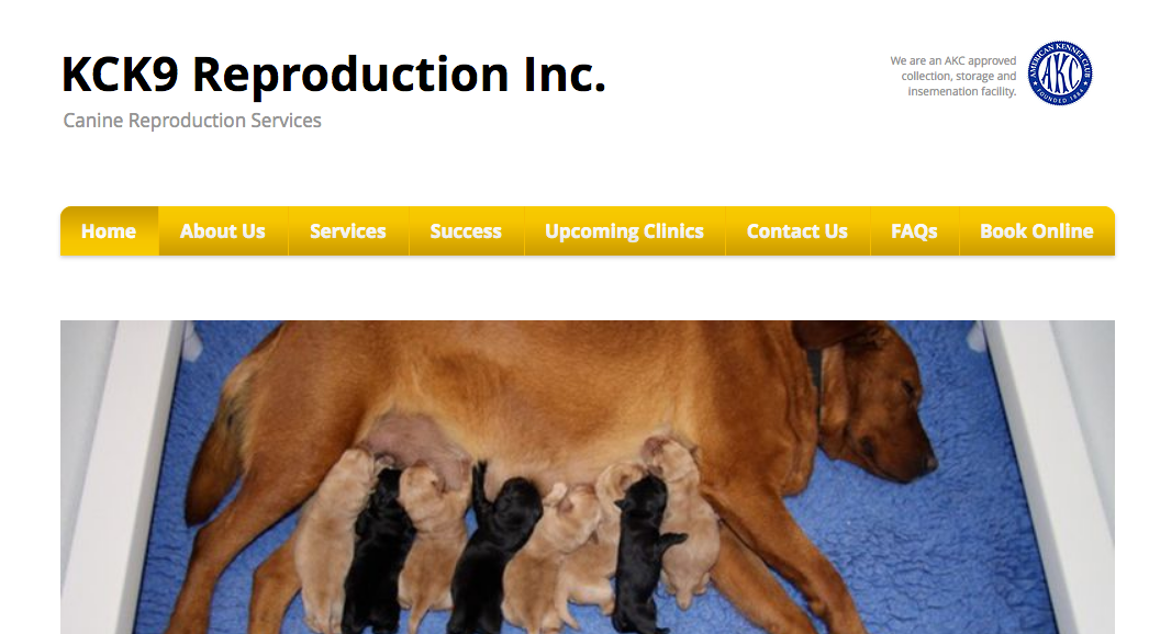 Canine Semen Collection | KCK9 Reproduction Services | Olathe, KS