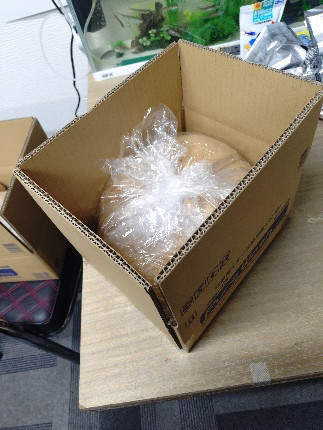 交換用レジン 4L用 （PTR04） | Purewash