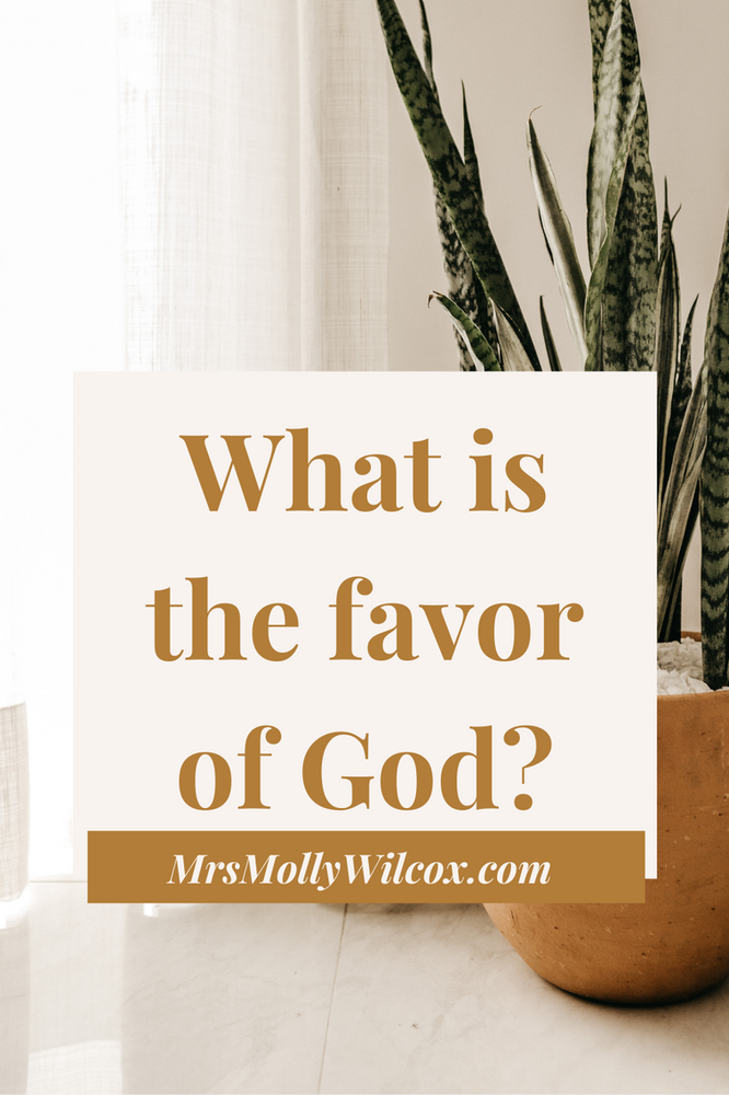 What is the favor of God?