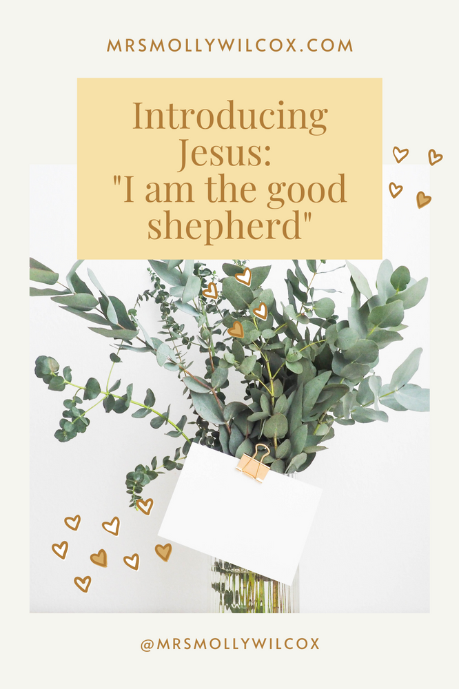 Introducing Jesus: I am the good Shepherd