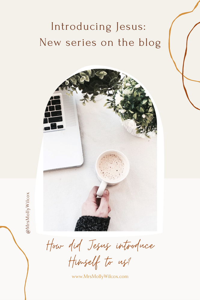 Introducing Jesus: A series on how Jesus introduced Himself
