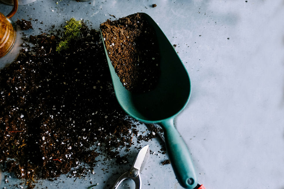 How to compost at home using cold-composting methods
