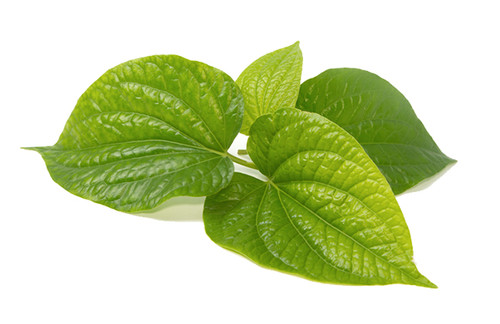 Chaplu Leaves | Siam Fresh Market