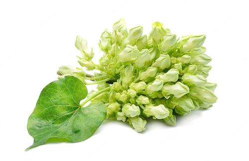 Cowslip Creeper Flowers | Siam Fresh Market