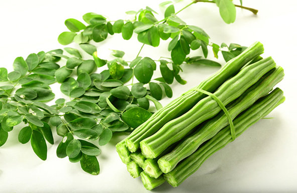 Drumstick Moringa | Siam Fresh Market