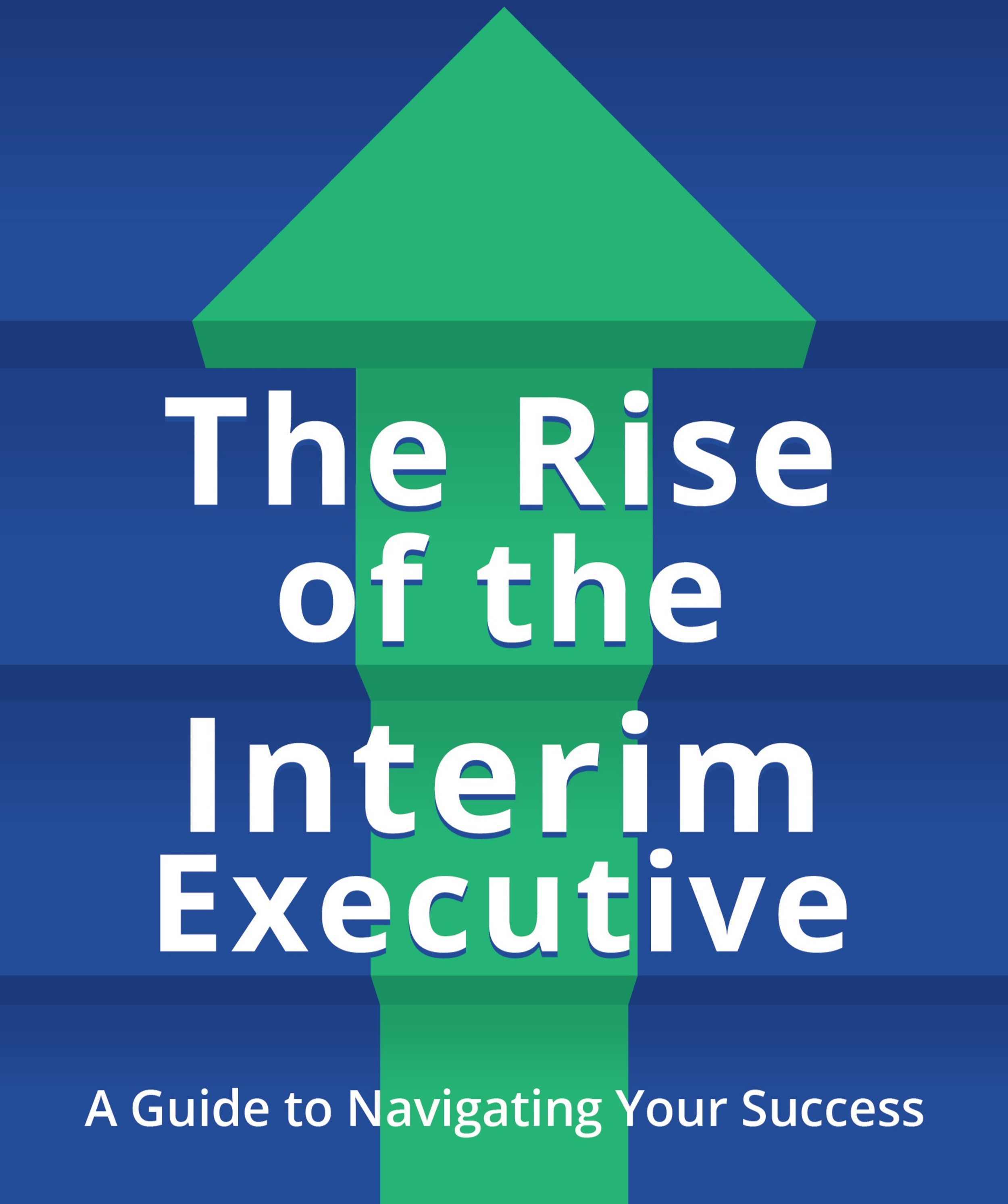 About The Interim Executive about-the-interim-executive