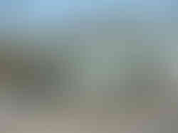 Classic Antique cars auto restoration repair services TJAuto Raleigh NC