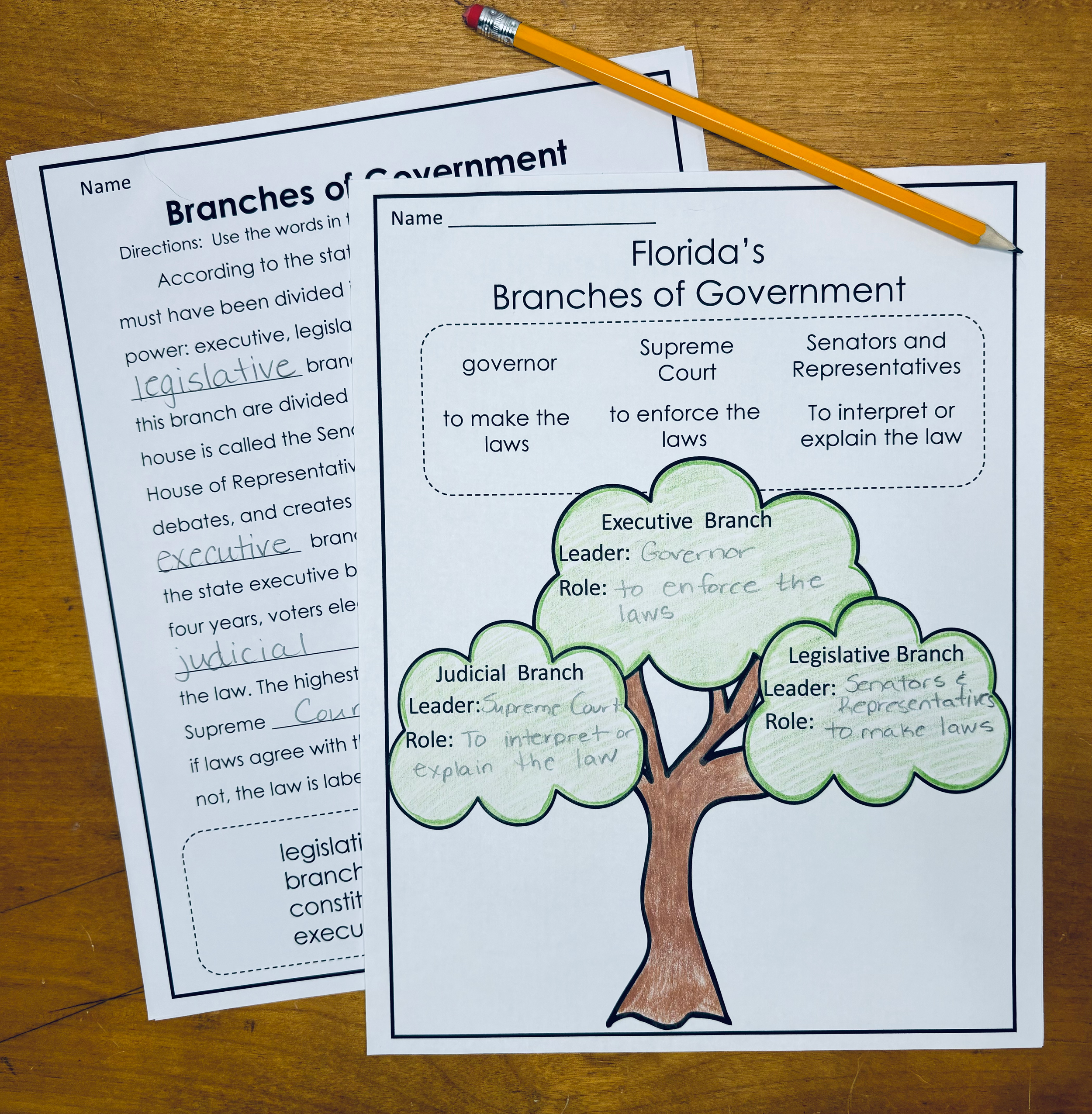 Three Branches of Government Activities for Florida Teachers