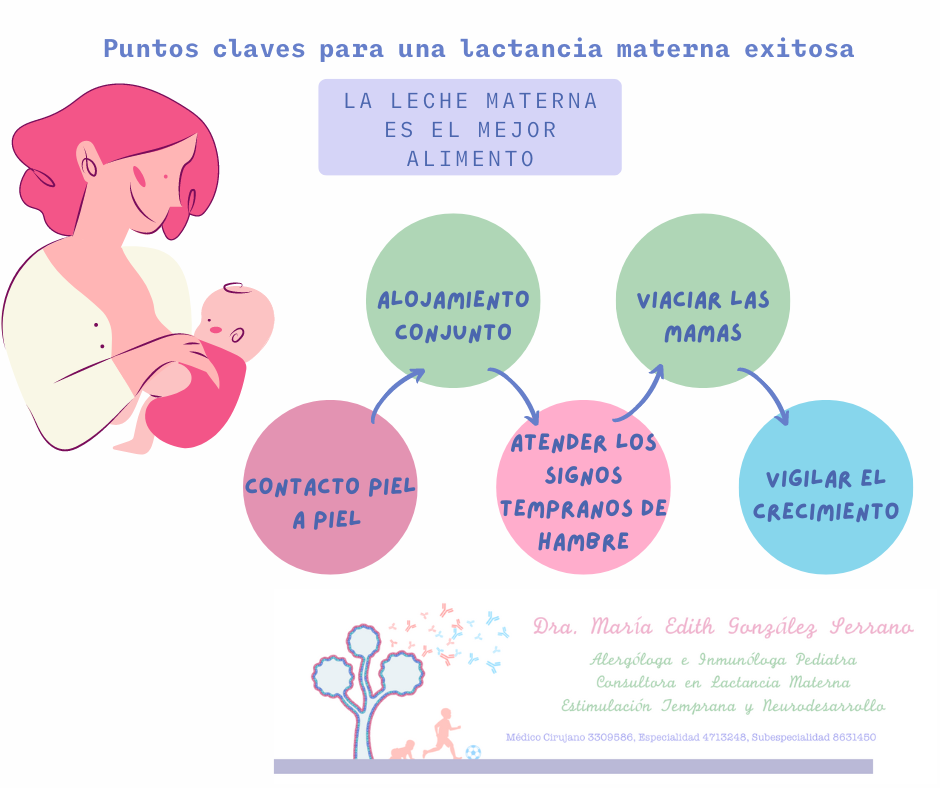 Pasos esenciales para una lactancia materna exitosa