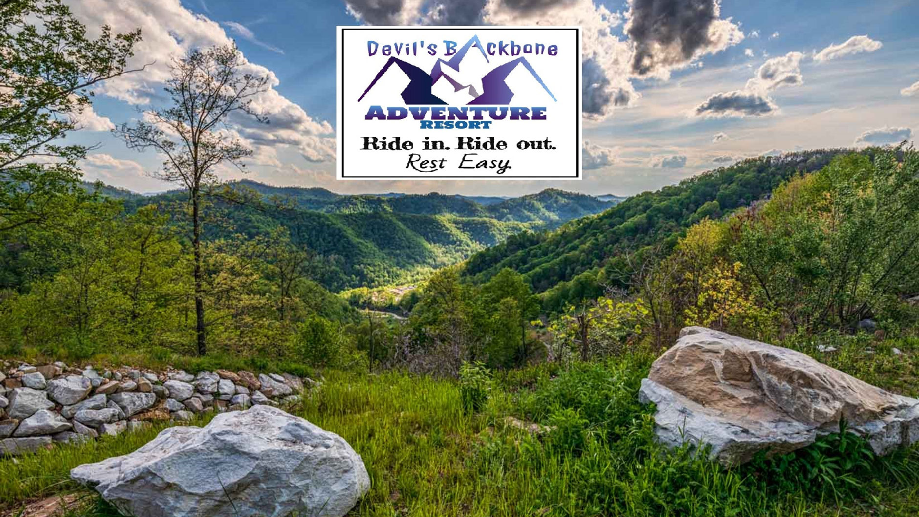 PHOTOS & VIDEOS | DBAR