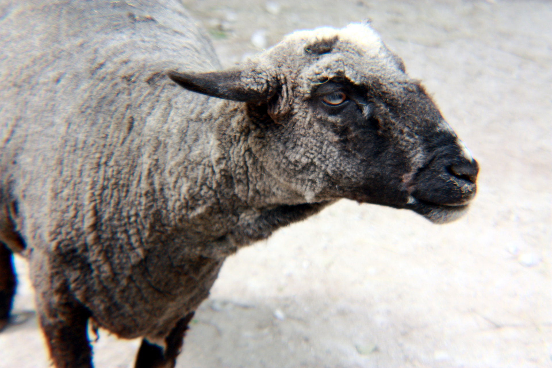 Andrea Agosto | San Diego Photographer, Weddings, Headshots, Cosplay