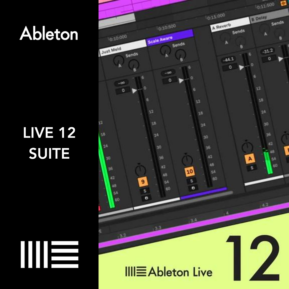Ableton Live 12 SUITE DIGITAL LICENSE | Stoke