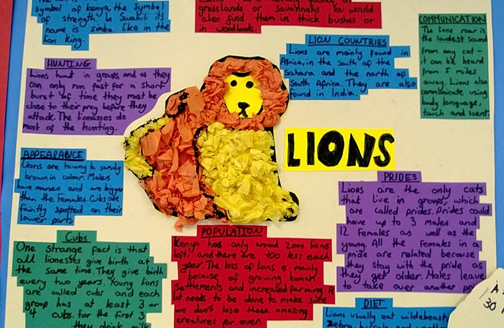 Animal facts posters