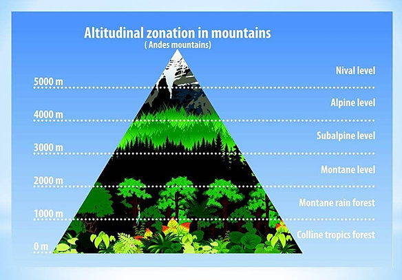 [DIAGRAM] Plateau Mountains Diagram - MYDIAGRAM.ONLINE