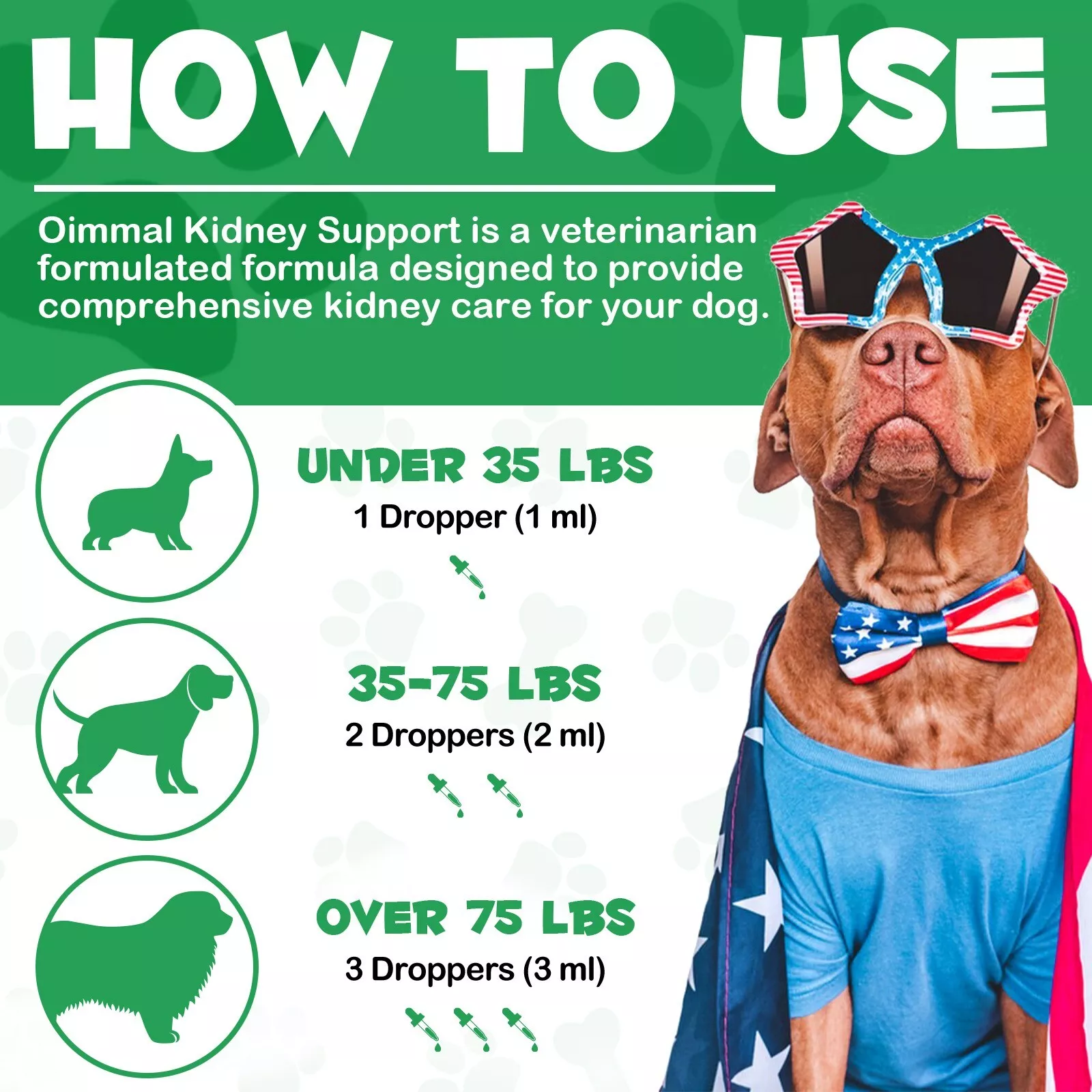 Kidney Support for Dogs Liquid Supplement Supports Healthy Kidney ...