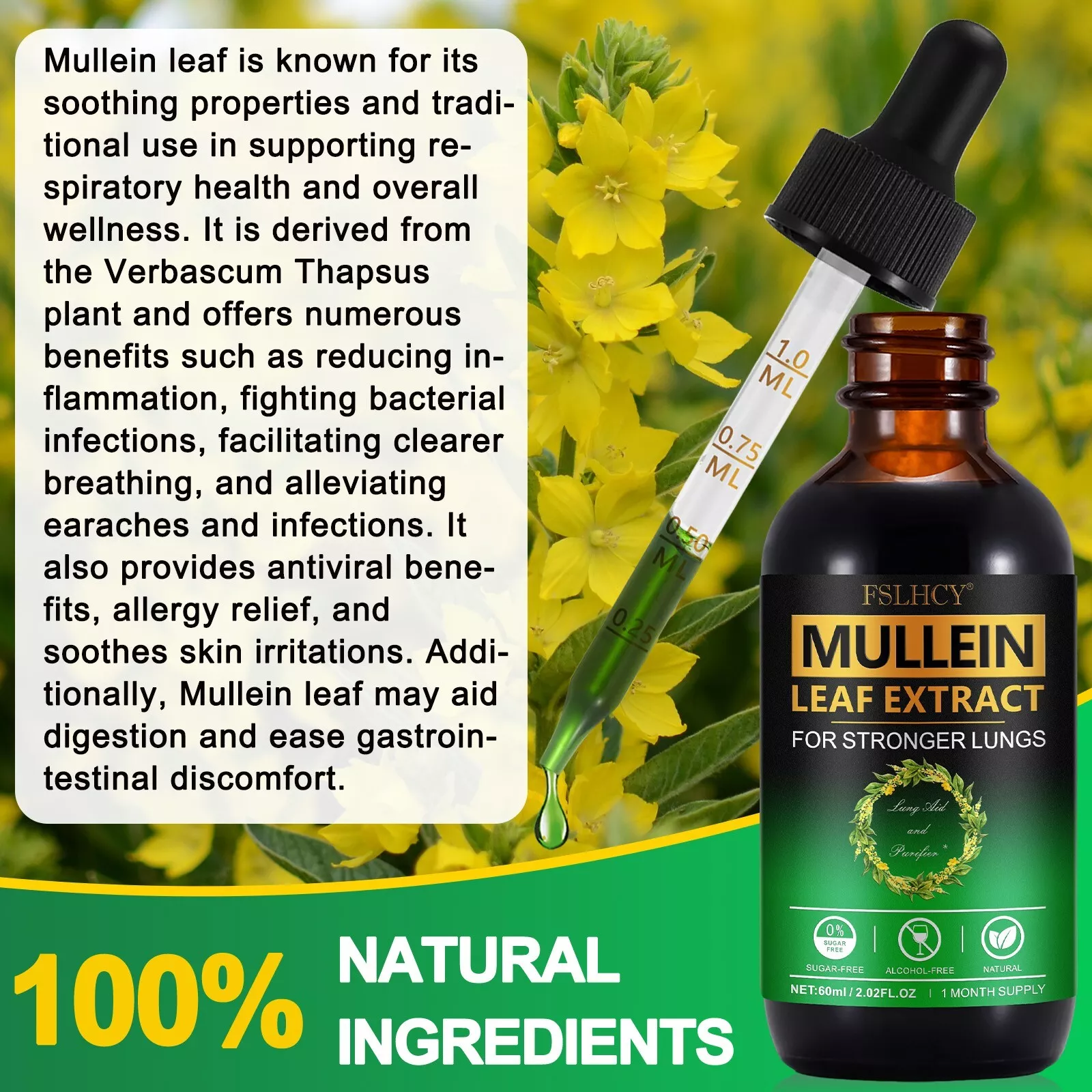 Mullein Drops - Lung Cleanse - Mullein Leaf Extract Powerful Mullein ...