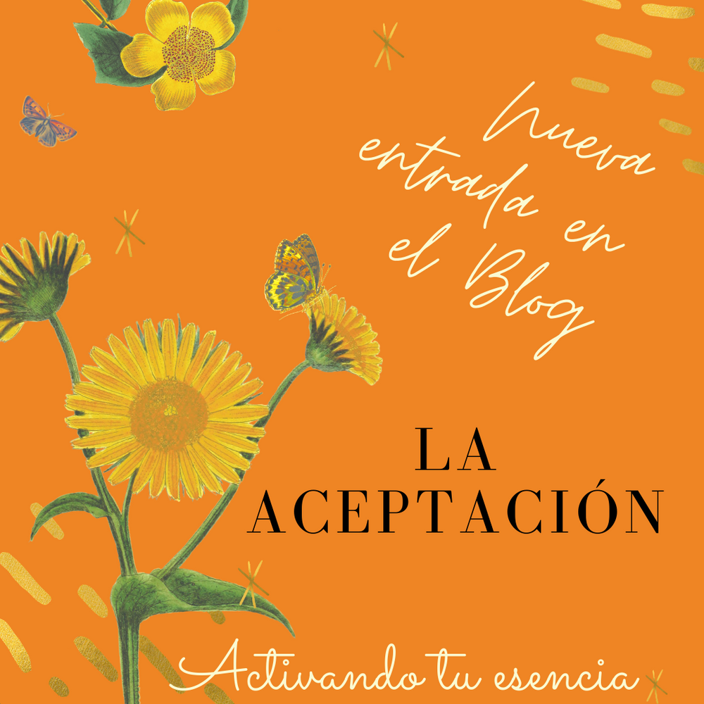 ¿Qué es la aceptación? activando tu esencia