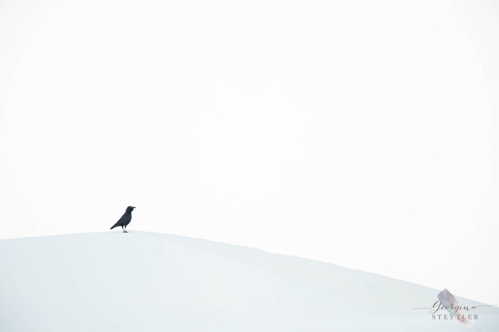 Eyre Bird Observatory