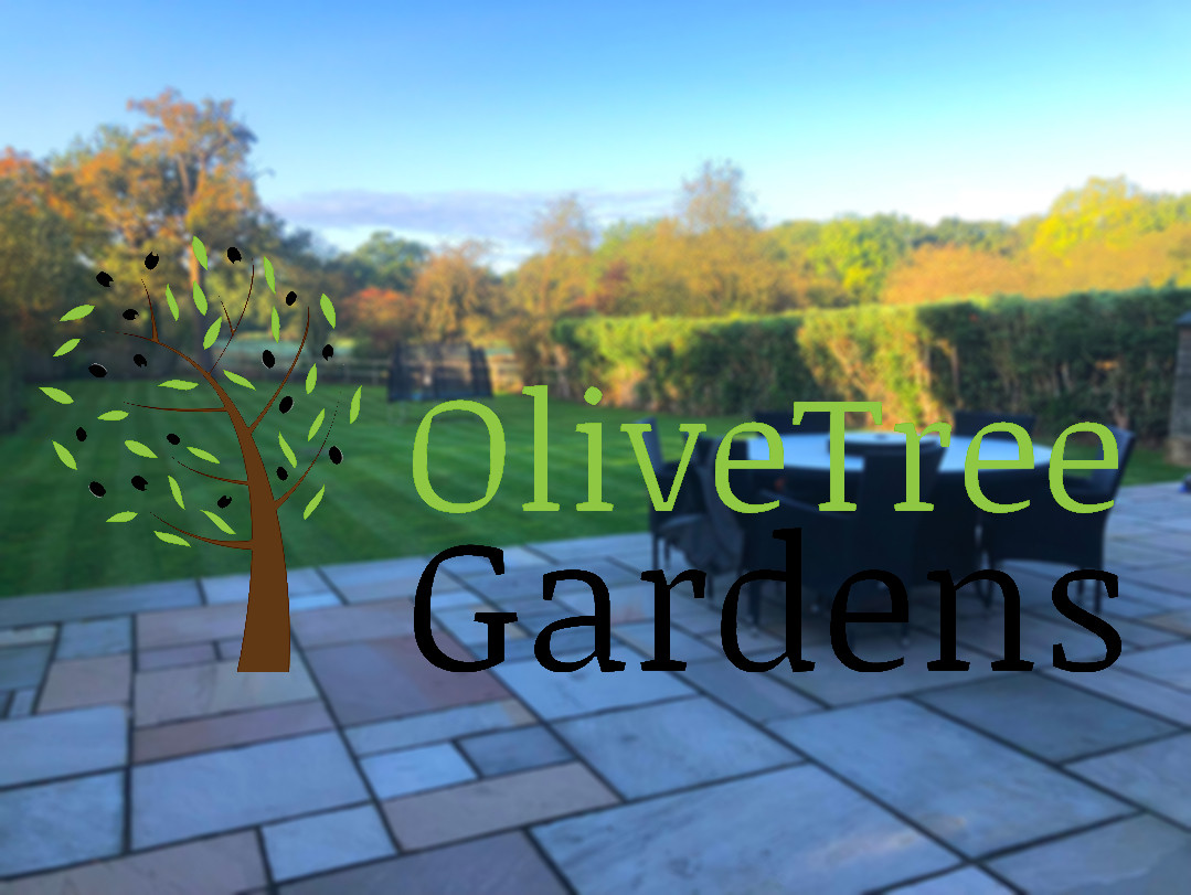 Garden Services | Olive Tree Gardens | St Albans Harpenden Radlett ...