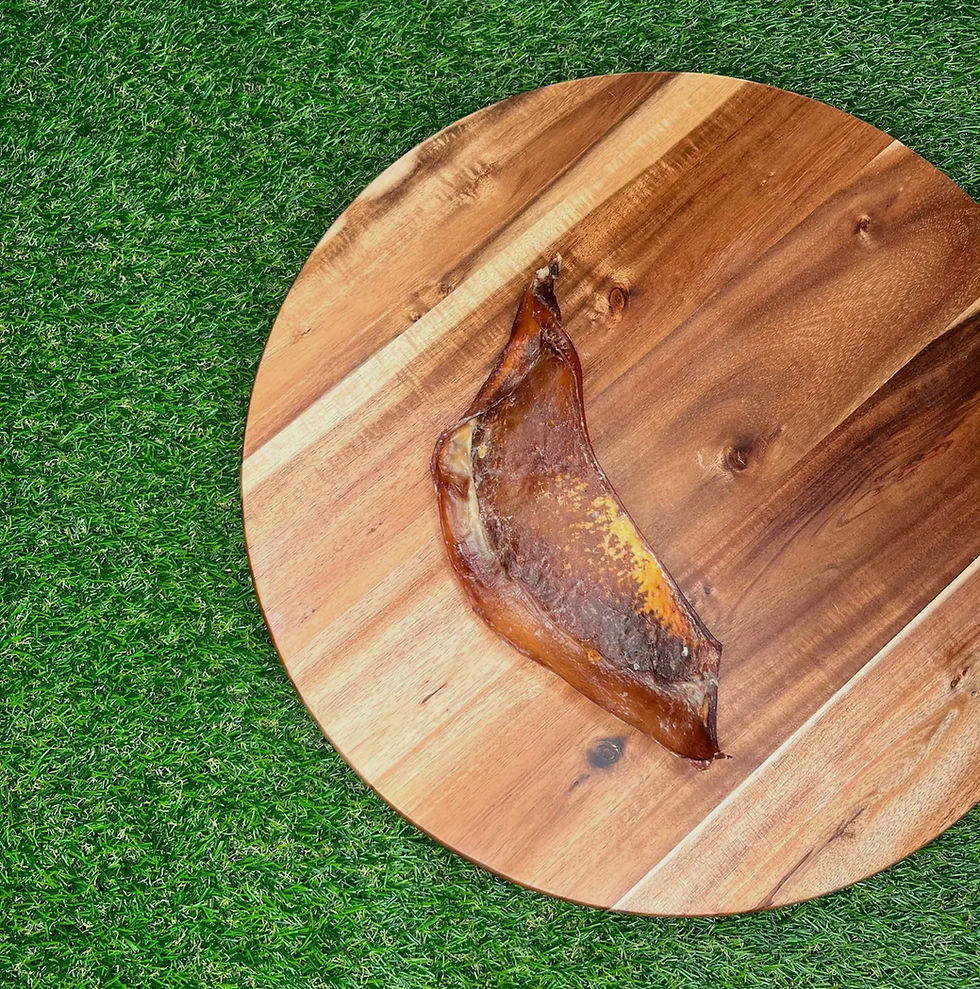 Dehydrated Bison Scapula | Hunter's Raw