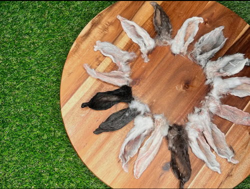 Dehydrated Rabbit Ears (3 pack) | Hunter's Raw