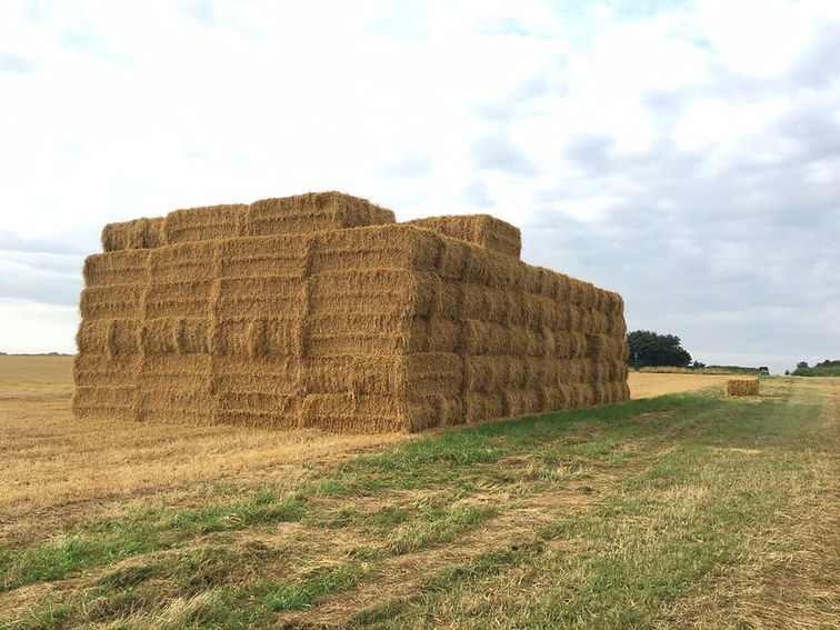 Quality Hay and straw delivery | M.R. Horn & Partners LLP