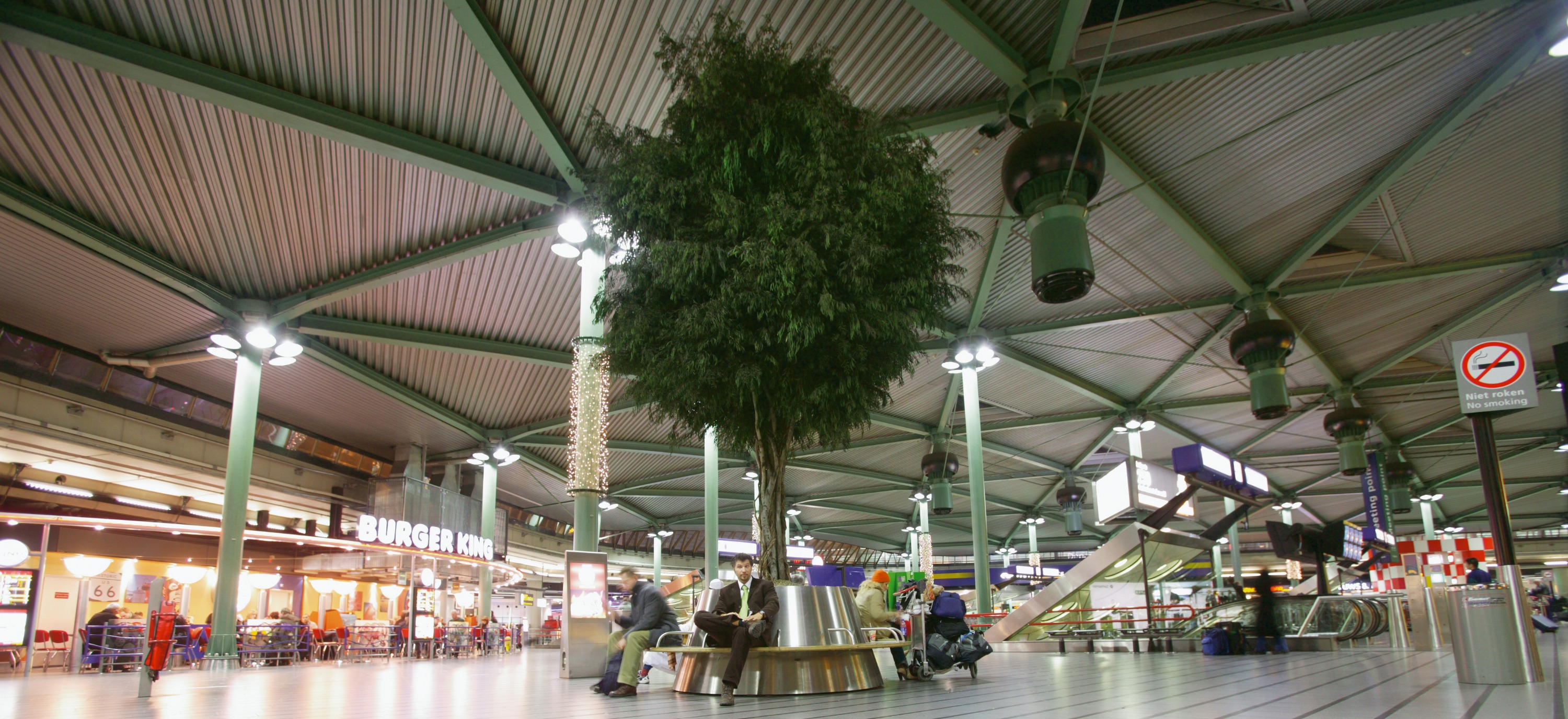 Preserved Trees - Preserved Nature