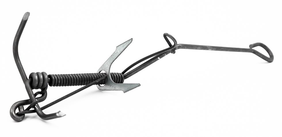 Gonzo Pro | gonzostore