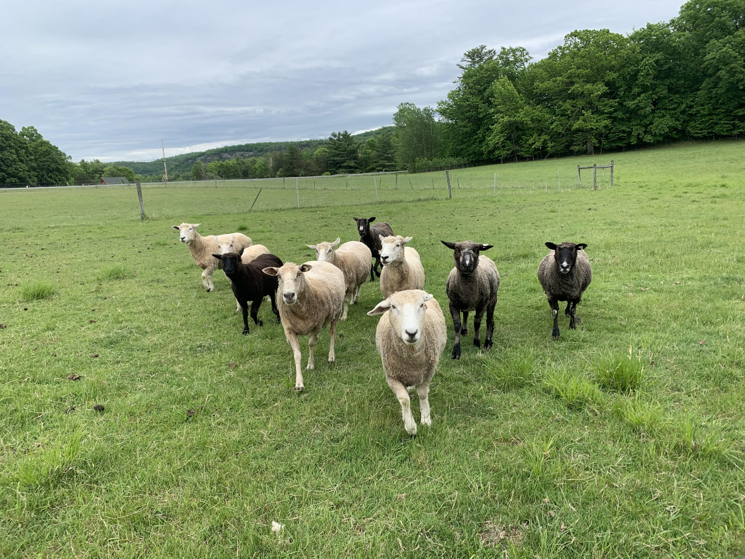 Men’s Mental Health Residential Treatment Community in Castleton VT