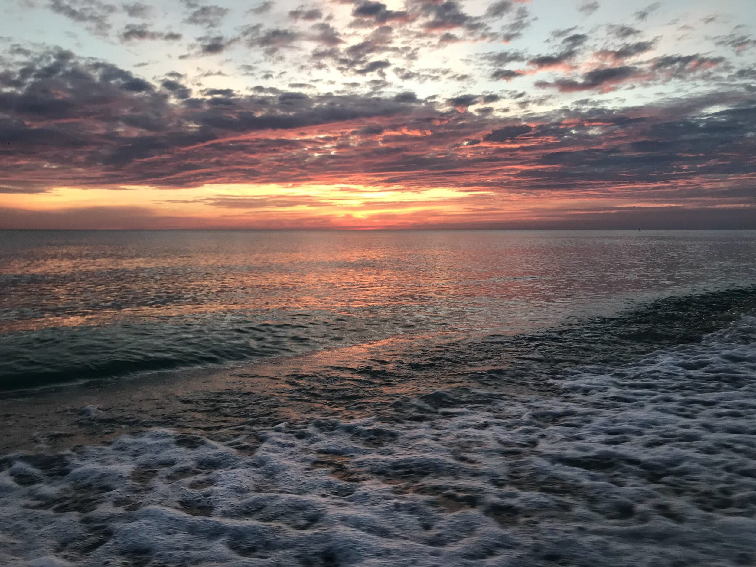 REVIEWS | shore-thing