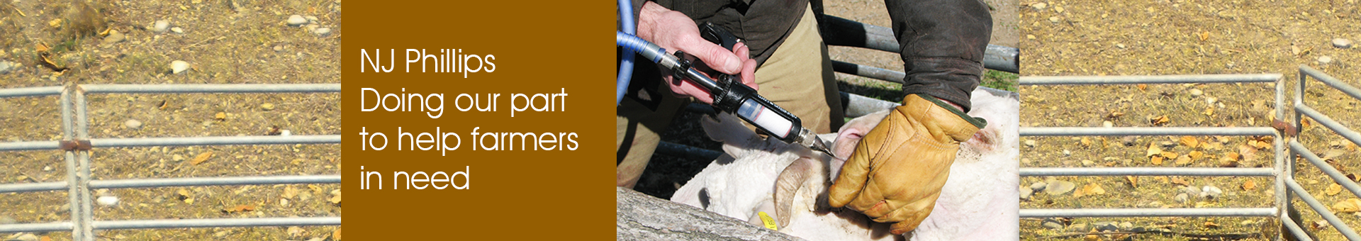 Catalogues | njphillips