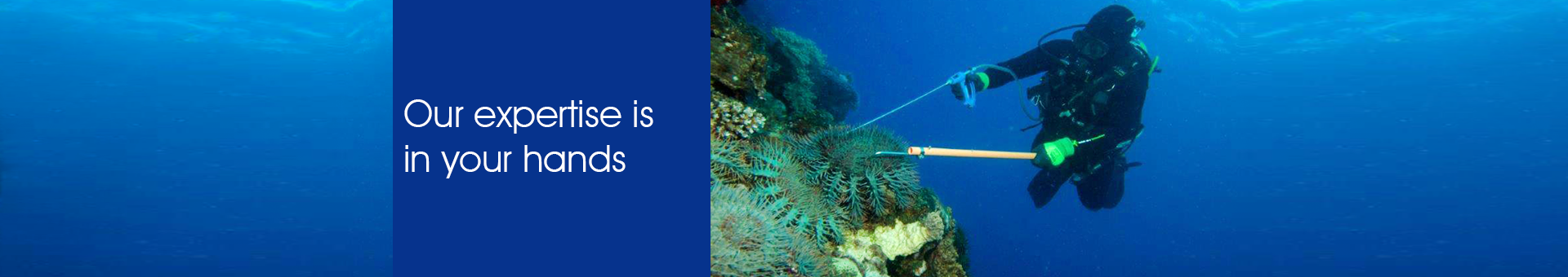 Catalogues | njphillips