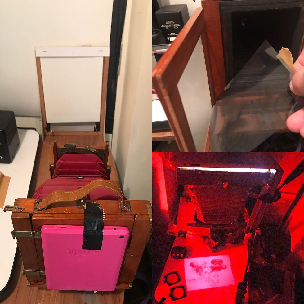 DIY large format enlarger