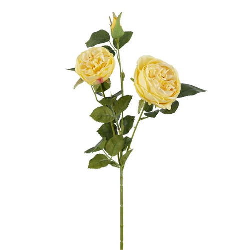 Roze 60cm dzeltena | Duni veikals