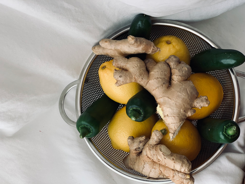 Traditional Method- Placenta Encapsulation | Birth Twin Cities
