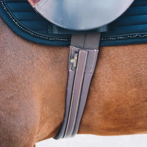 A Complete Guide To Horse Girths Products
