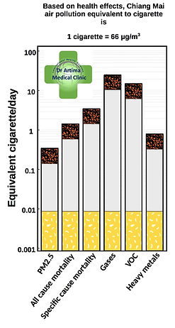 Air Pollution Cigarette Equivalent | Dr Artima Medical Clinic