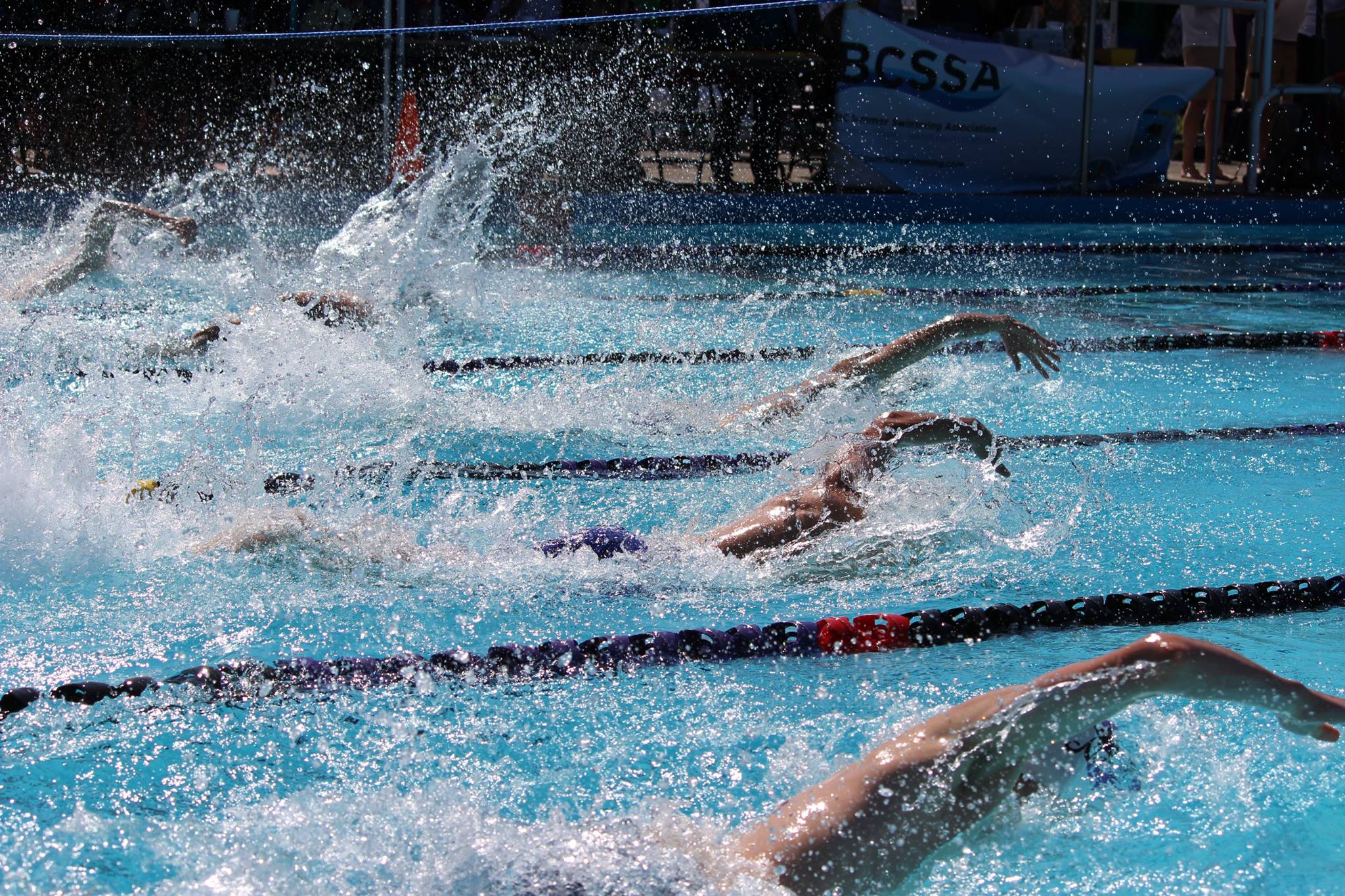 Poco Marlins Swim Club