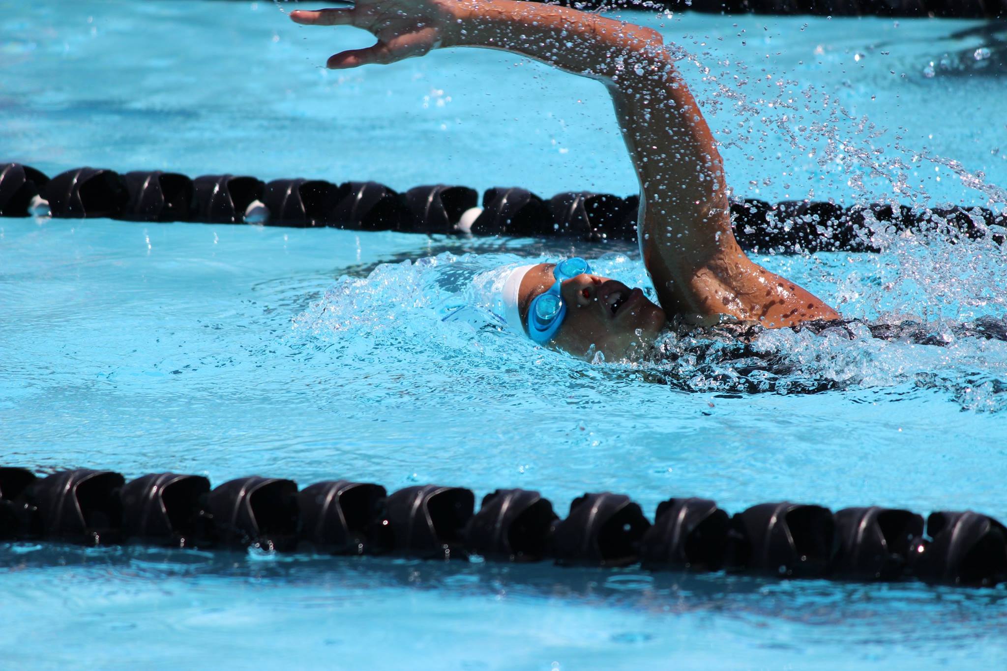 Poco Marlins Swim Club