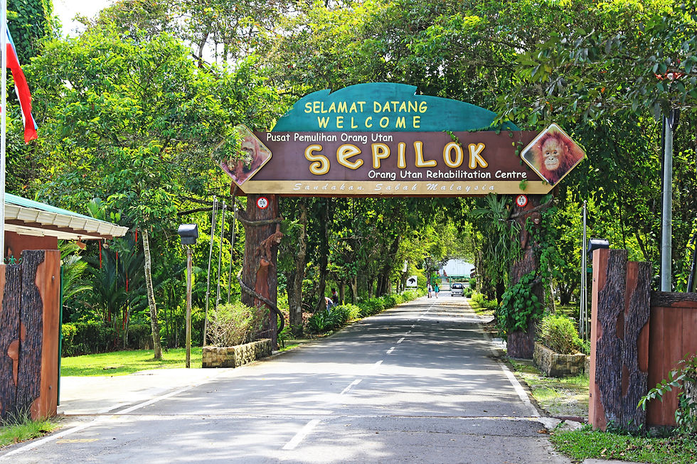 Sandakan Tour Package - 3 Days 2 Nights - Asia Medan Travel
