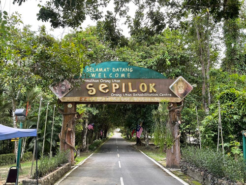 Bukit Merah Orang Utan Tour - Best Malaysia Tours & Package Trips
