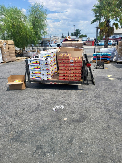 Agency Check In | Vida Life Ministries